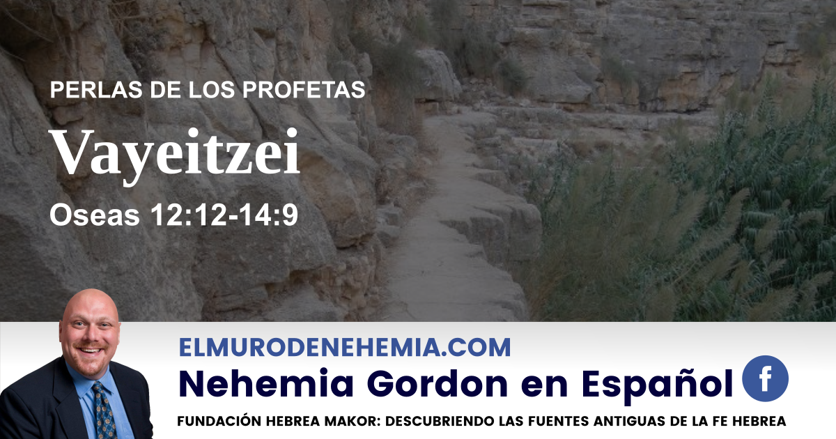 Perlas de los Profetas #7 - Vayeitzei (Oseas 12:12-14:9) - El Muro de ...