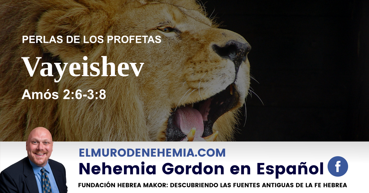 Perlas de los Profetas #9 - Vayeishev (Amós 2:6-3:8) - El Muro de ...